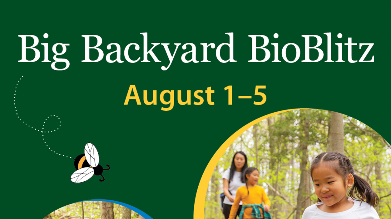 Big Backyard BioBlitz