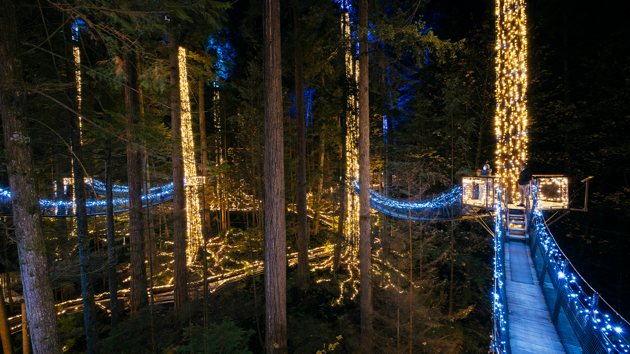 Canyon Lights at Capilano Suspension Bridge Park