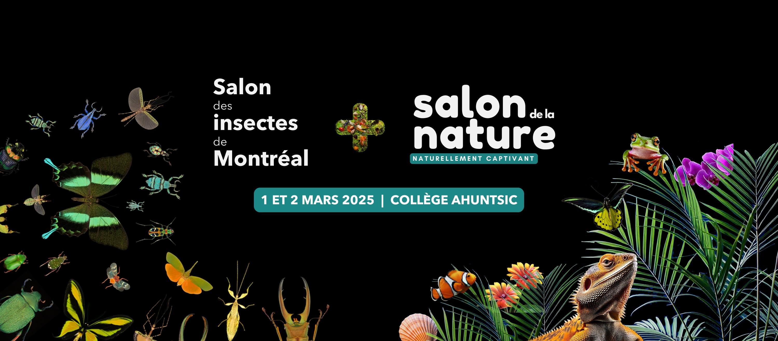 Logotipo De La Expo De Montreal