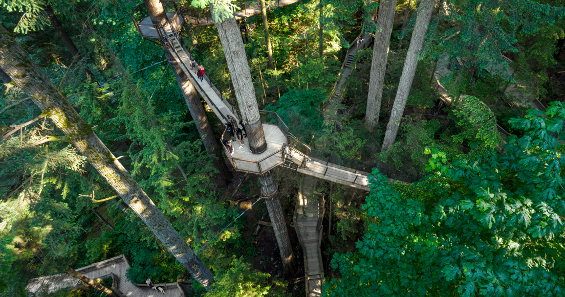Capilano Suspension Bridge Park - Summer 2025
